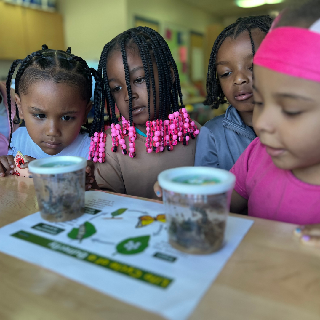 Departments - About - Avondale School District